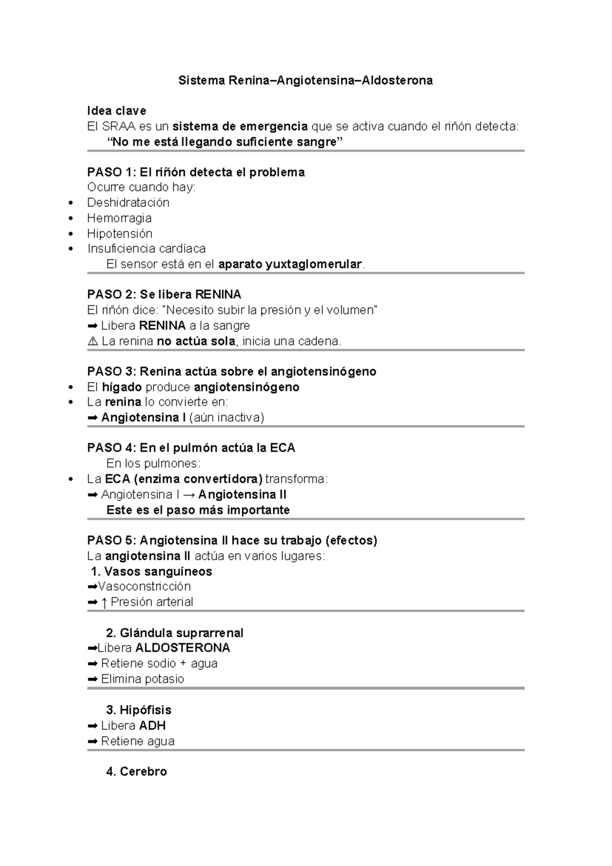 Sistema Renina: Mecanismos del SRAA en la Regulación Renal - Studocu