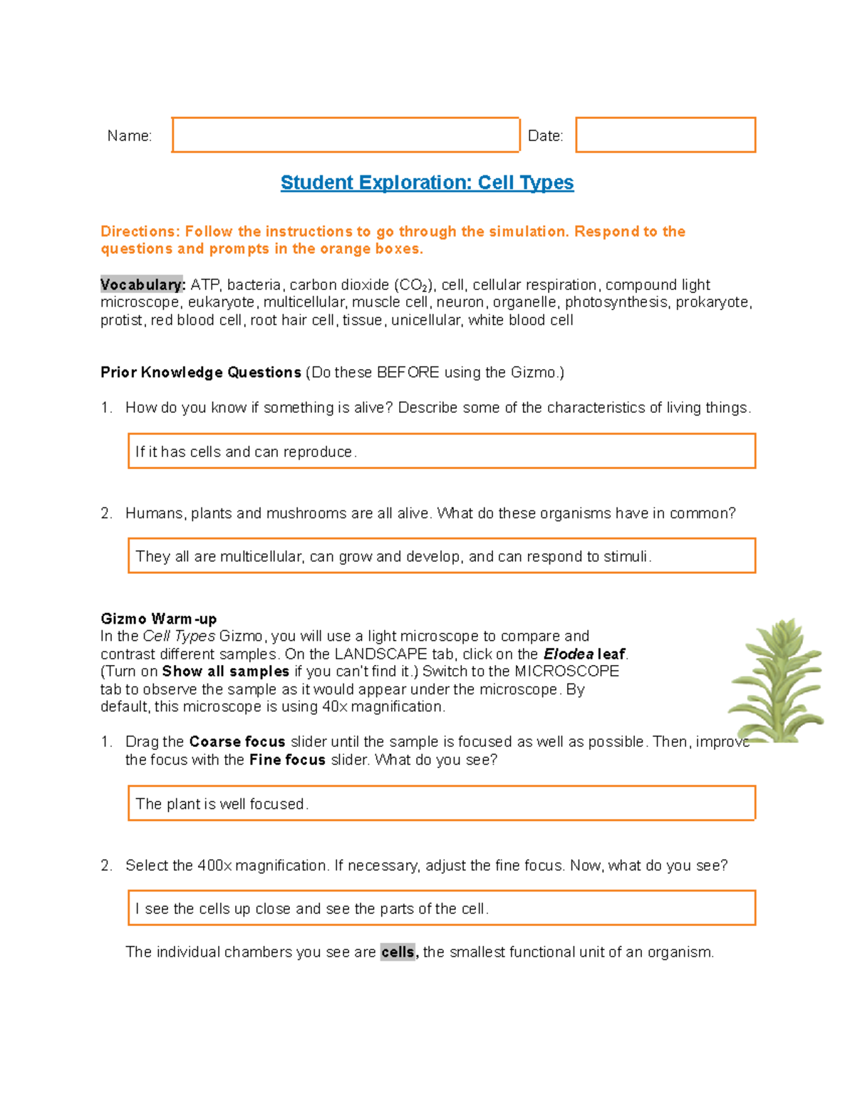 Untitled document (27) - Name: Date: Student Exploration: Cell Types ...