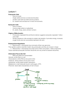 Lab 2 PCR Flow Chart & Bioinformatics Procedure Guide - Studocu
