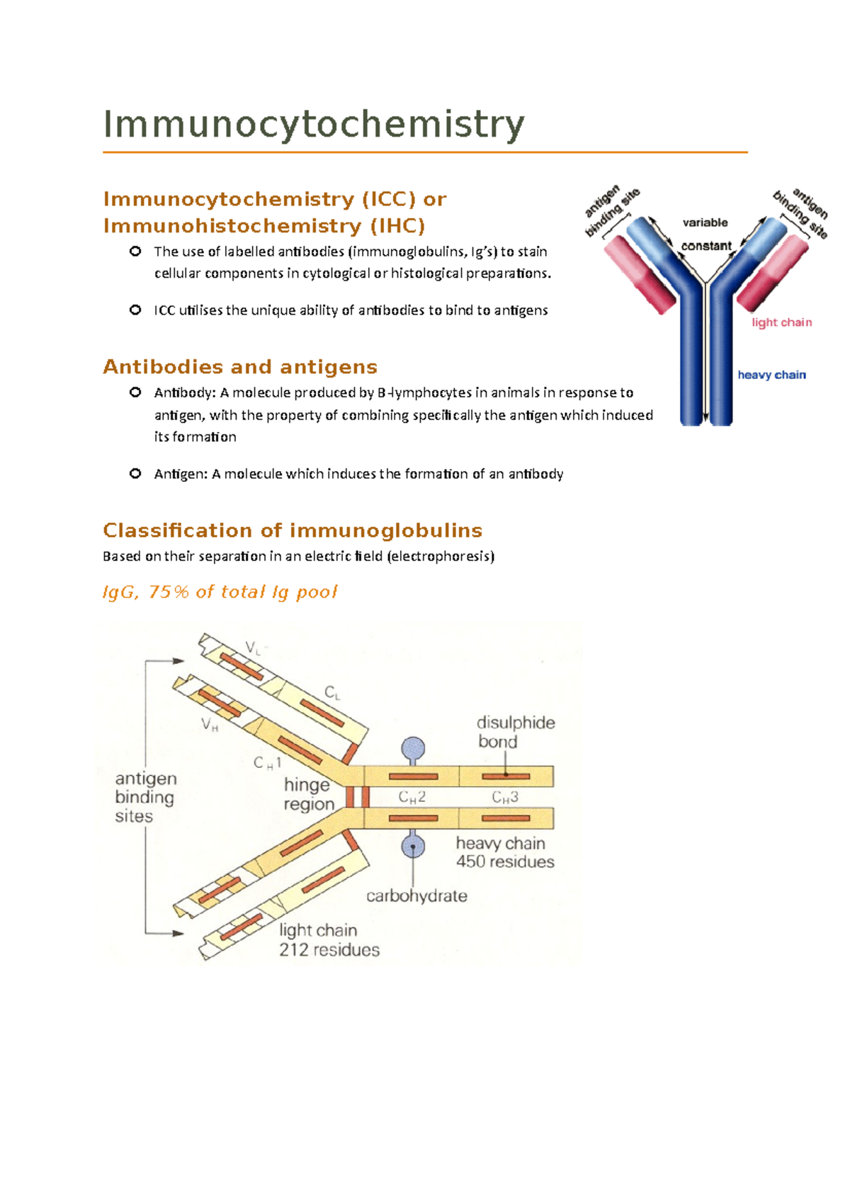 Immunocytochemistry Notes - Studocu