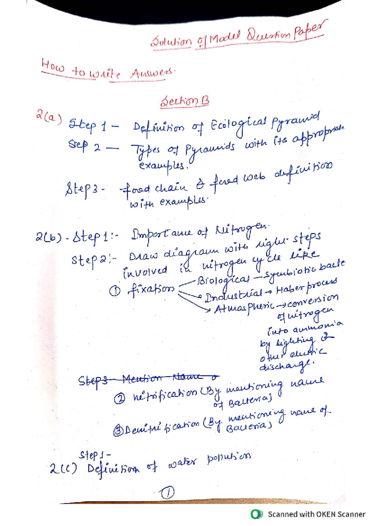 How to Write an Answer in Exam: Tips and Strategies - Studocu