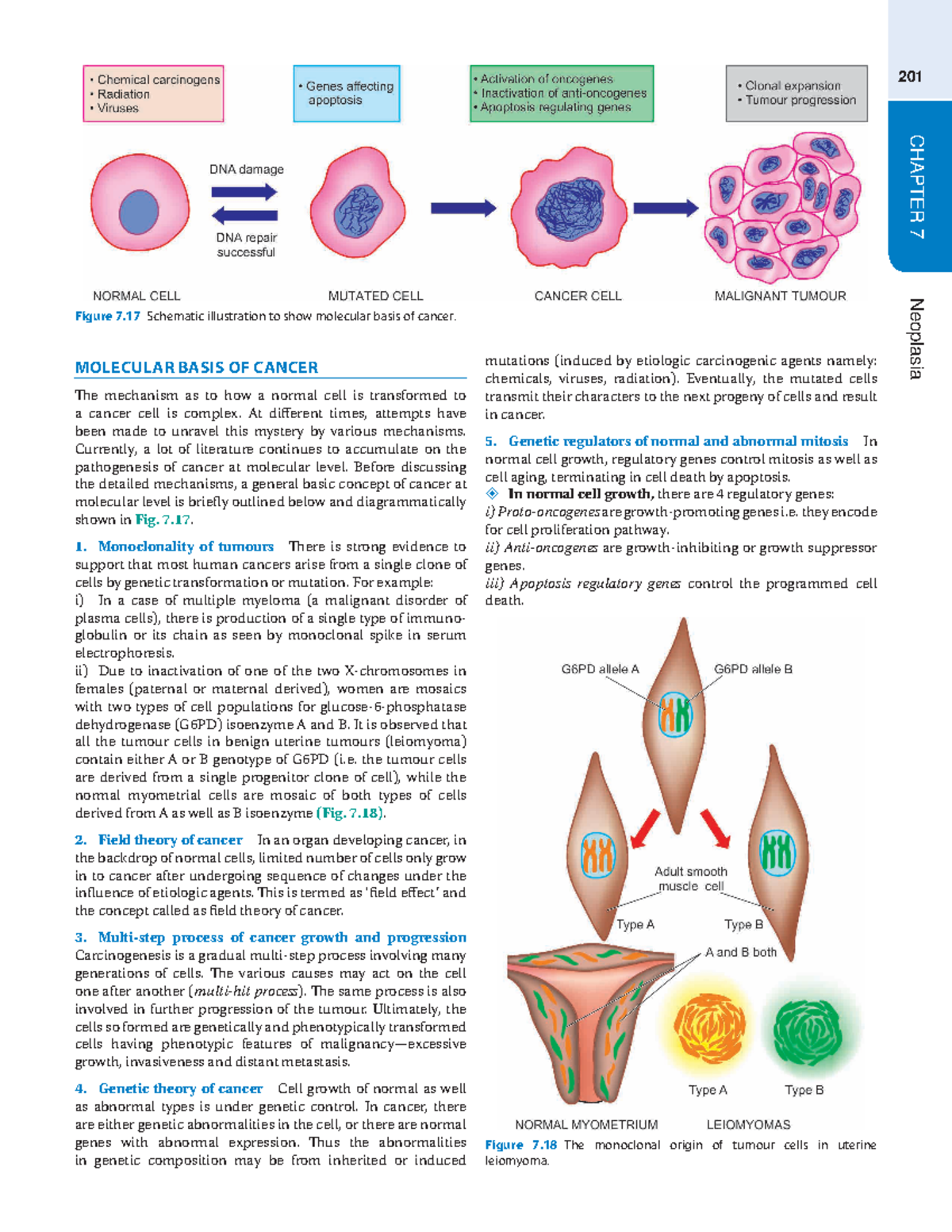 Harsh Mohan Textbook of Pathology, 7th edition-25 - Neoplasia CHAPTER 7 ...