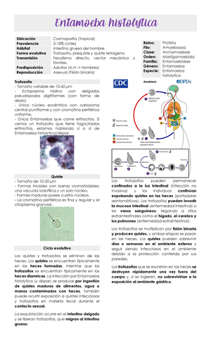 Casos+cl%C3%ADnicos+artropodos+2024 - PARASITOLOGÍA CLÍNICA. UNAB. TM ...