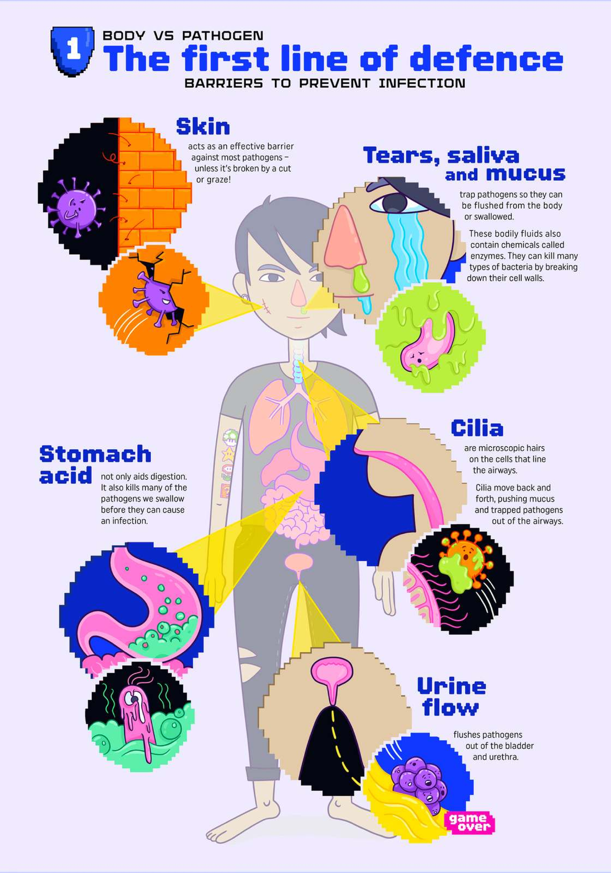 BIO 101: First Line of Defence Against Pathogens - Studocu