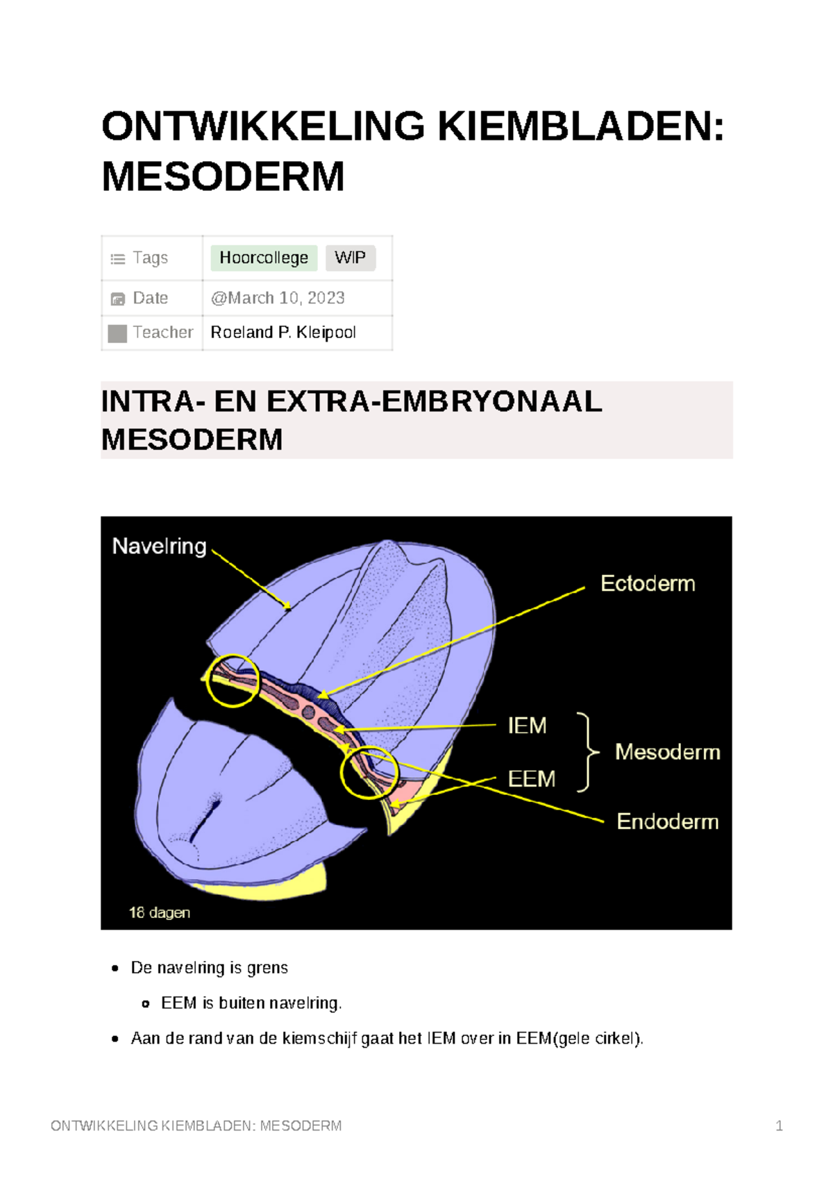 Ontwikkeling Mesoderm: Intra- en Extra-embryonaal - Hoorcollege WIP ...