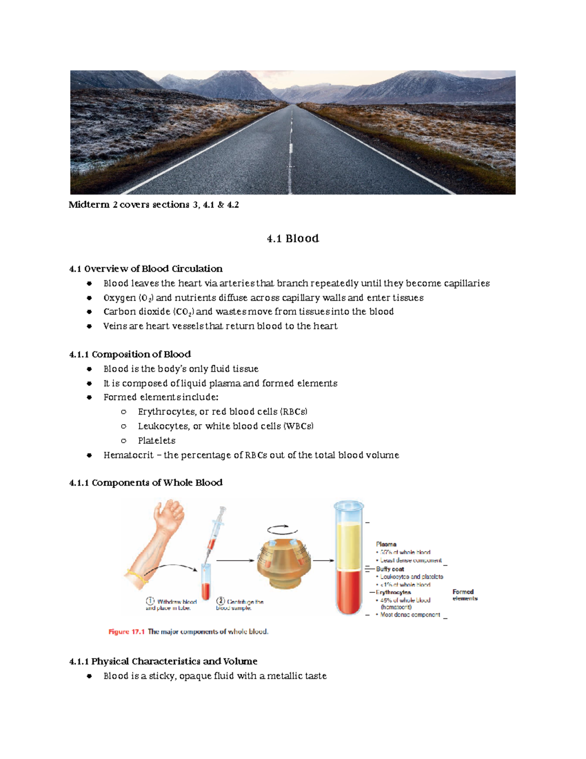 4.1 Blood - Lecture Slides and Midterm Review (Sections 3 & 4) - Studocu
