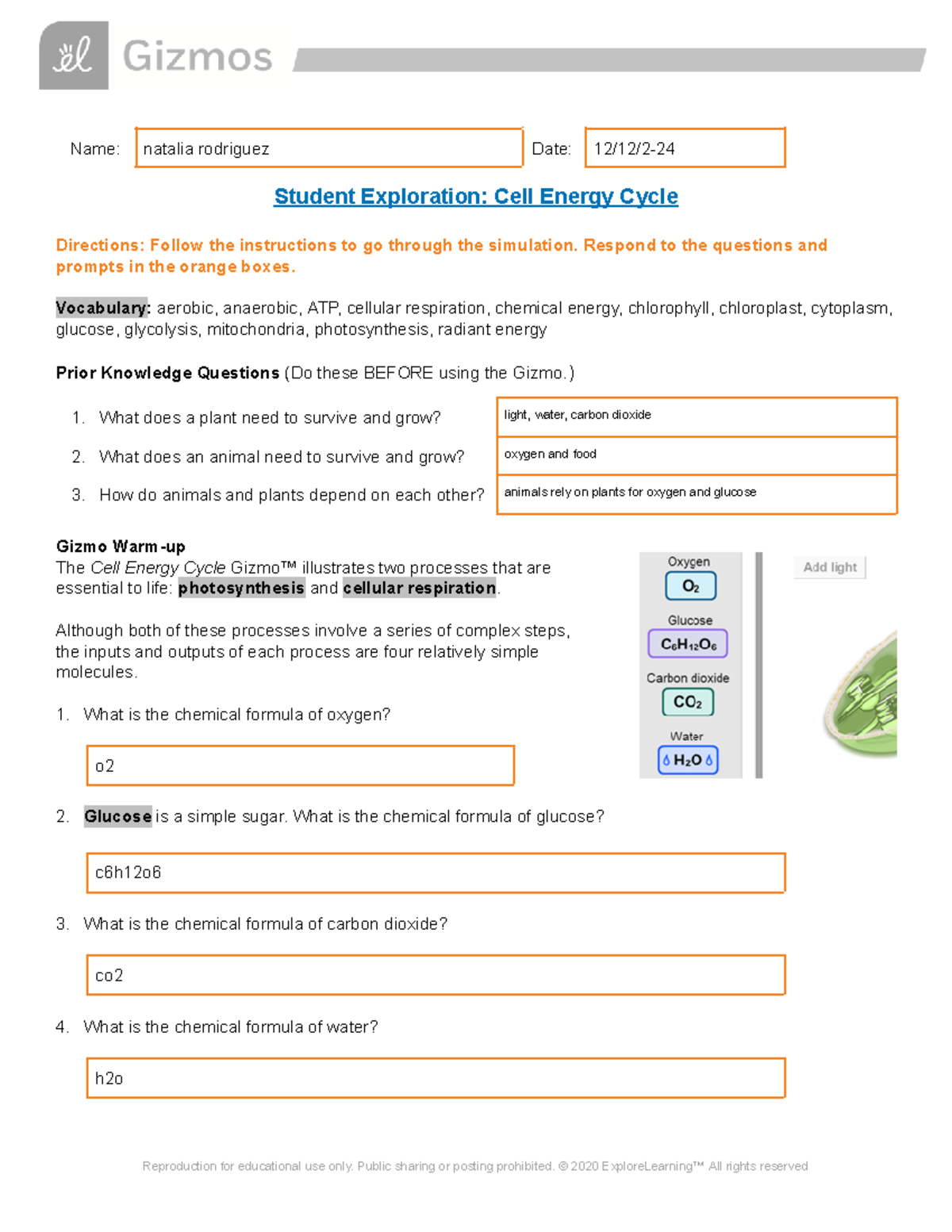 Copy of Cell Energy SE - gizmos - Name: natalia rodriguez Date: 12/12/2- Student Exploration ...