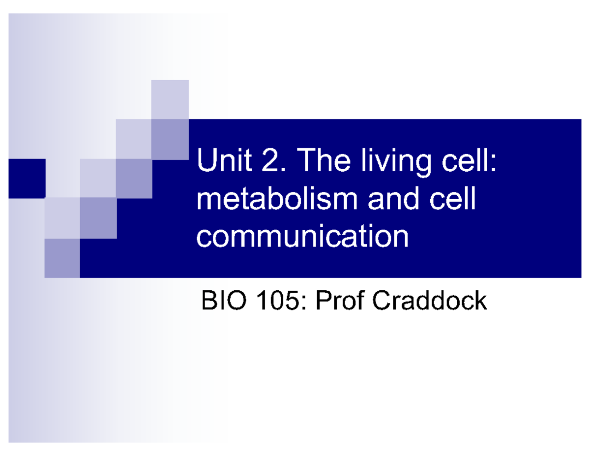 BIO 105: Photosynthesis and Cellular Respiration Overview - Unit 2. The ...