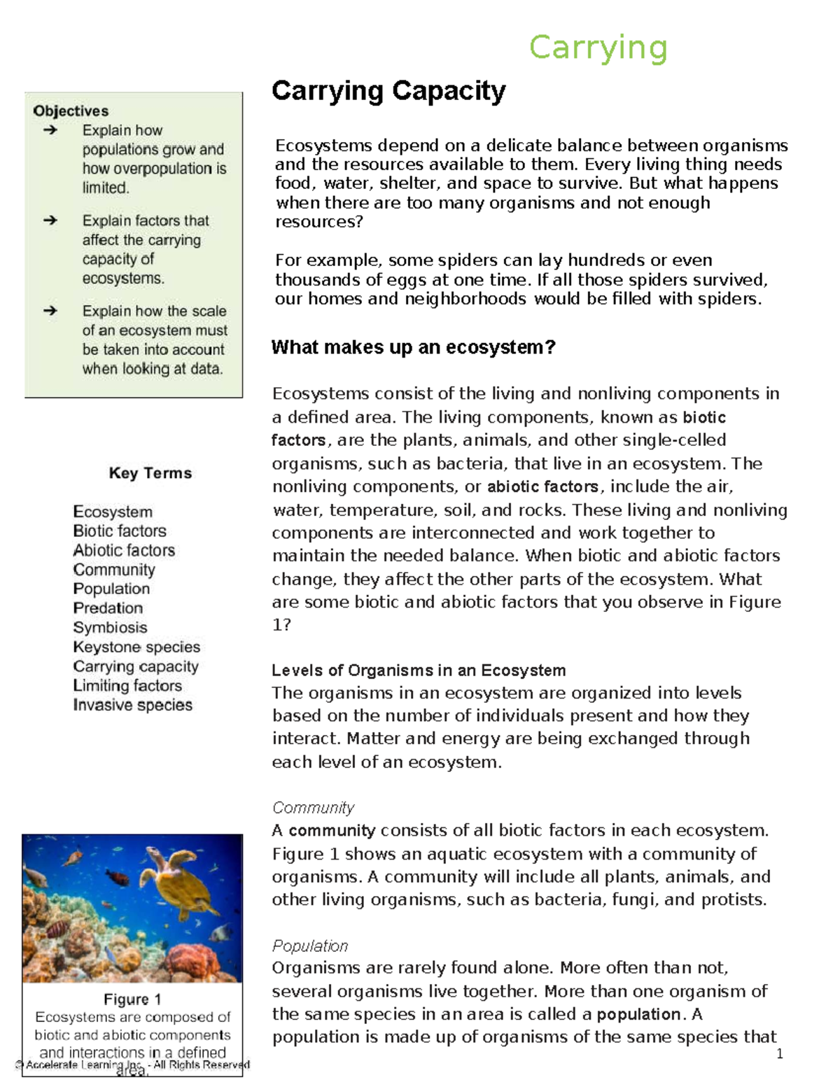 Understanding Carrying Capacity in Ecosystems: A Comprehensive Guide ...