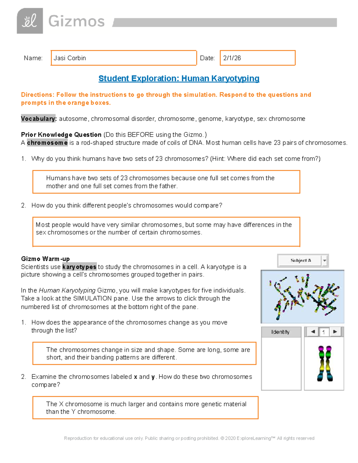 Human Karyotyping Simulation Exploration (SE) Guide - Studocu
