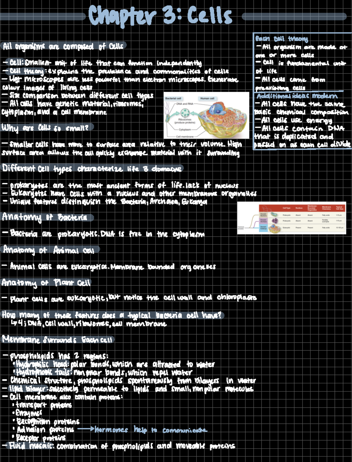 Chapter 3: Cells - Overview of Structure, Function, and Types - Studocu