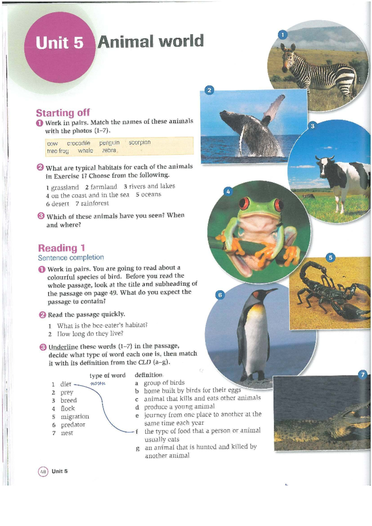 Complete S Unit 5: Exploring the Animal World - Studocu