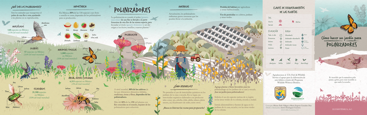 Cómo Hacer un Jardín para Polinizadores: Guía Práctica - Studocu