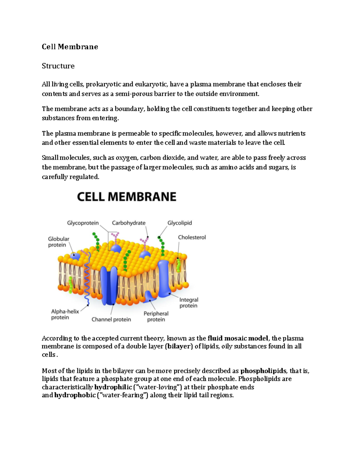 Cell Membrane - Lecture Notes 2 on Structure and Function - Studocu