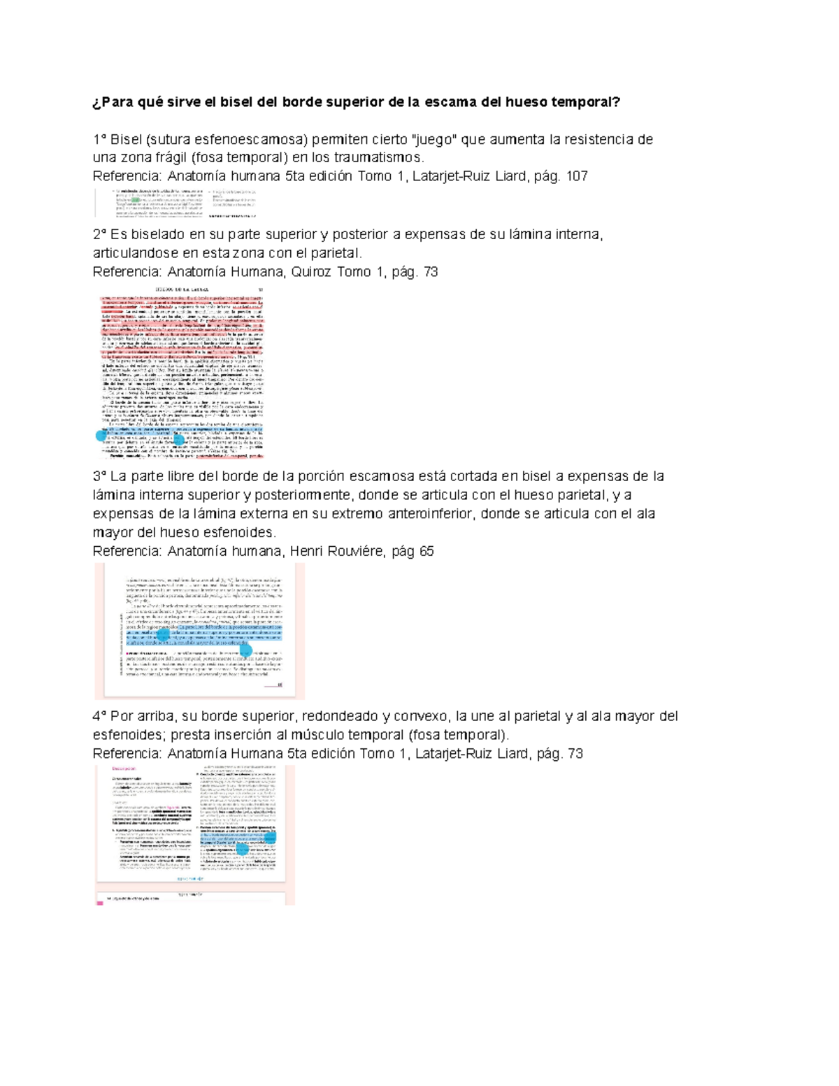 Bisel del borde superior de la escama - Referencia: Anatomía humana 5ta ...