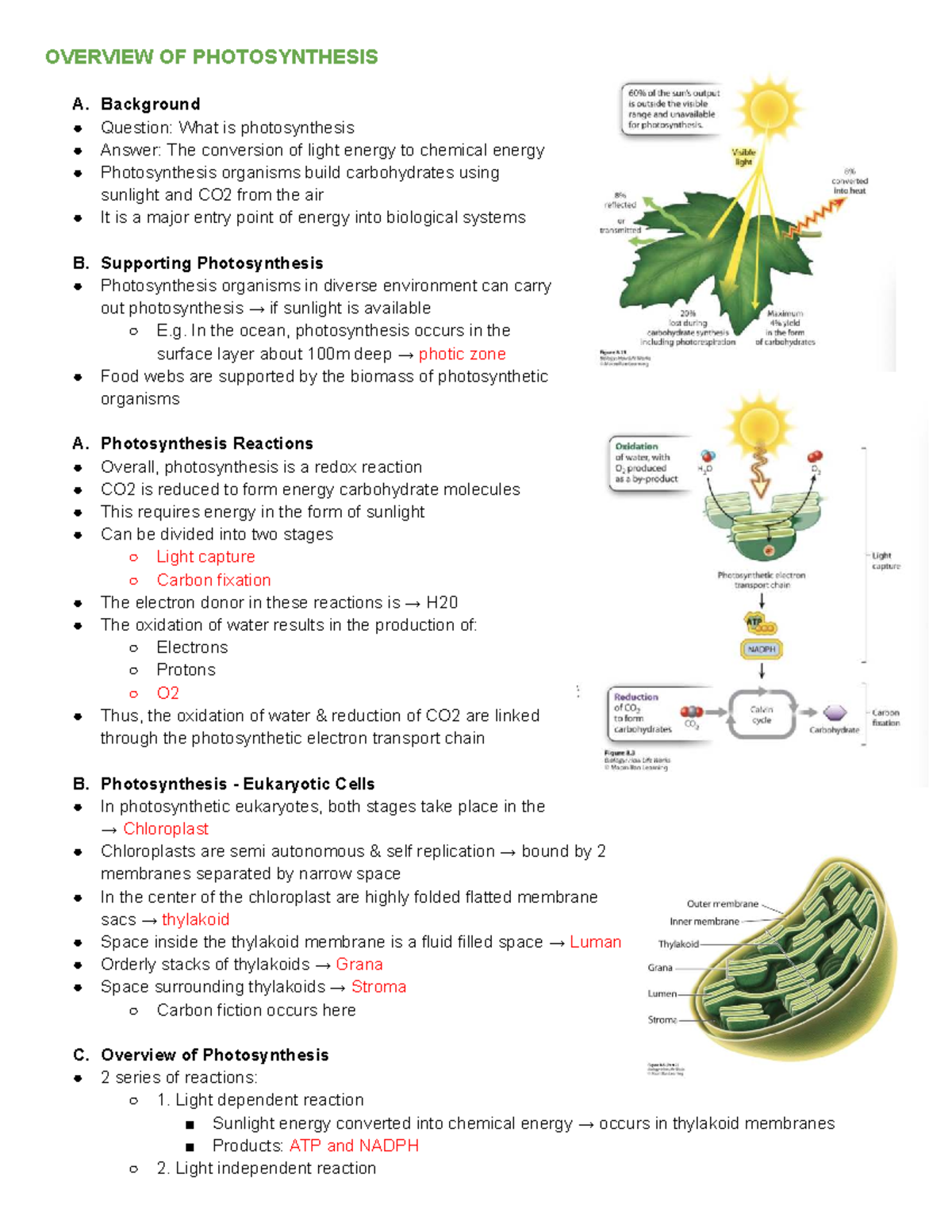 M8 - Overview of Photosynthesis and Its Mechanisms - Studocu