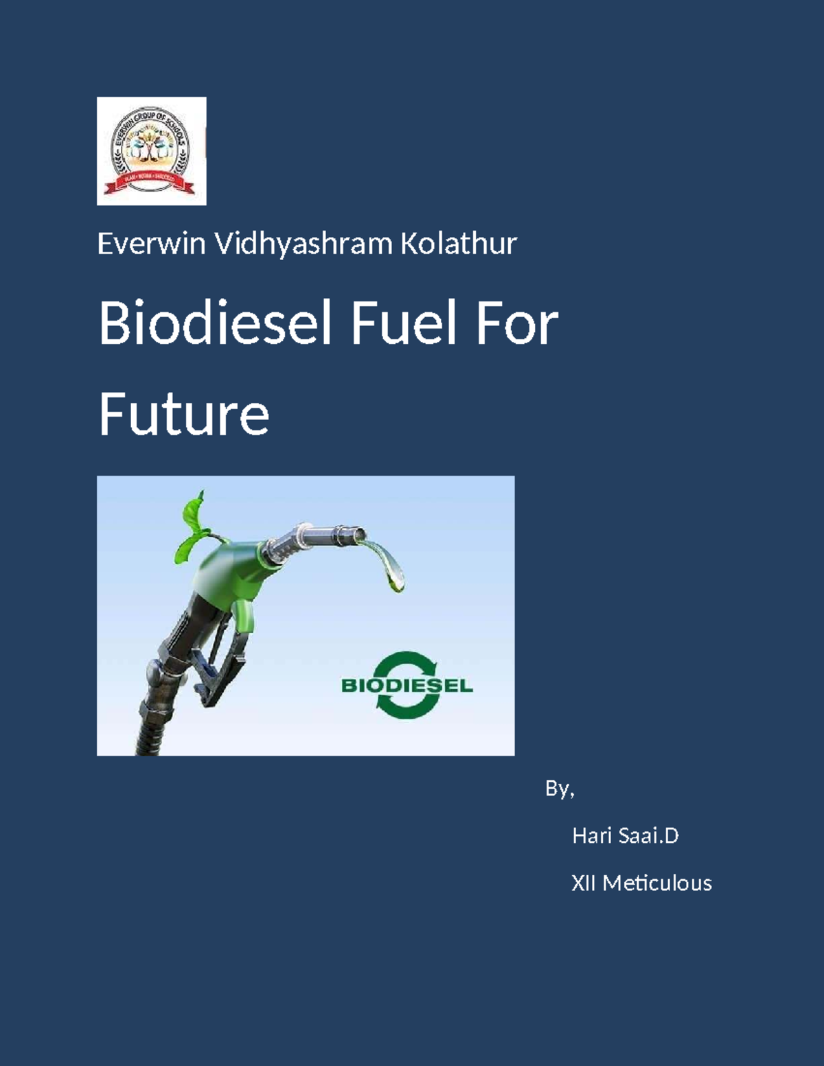 Chemistry Project: Biodiesel Fuel for Future - A Comprehensive Study ...