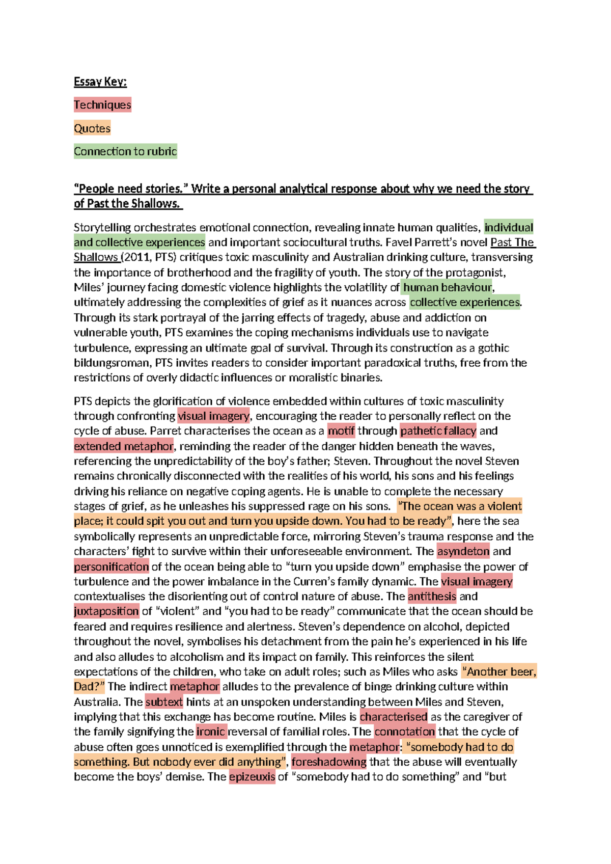 Hazelina's Past The Shallows English Essay - Essay Key: Techniques ...