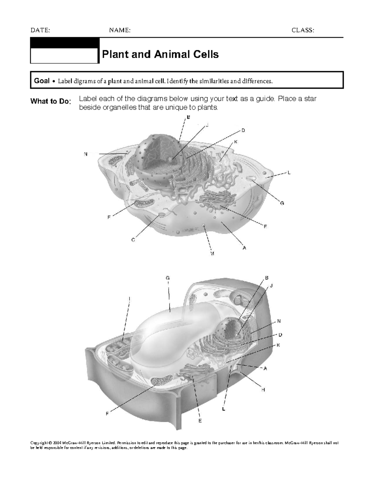 Blank Plant And Animal Cell Diagram