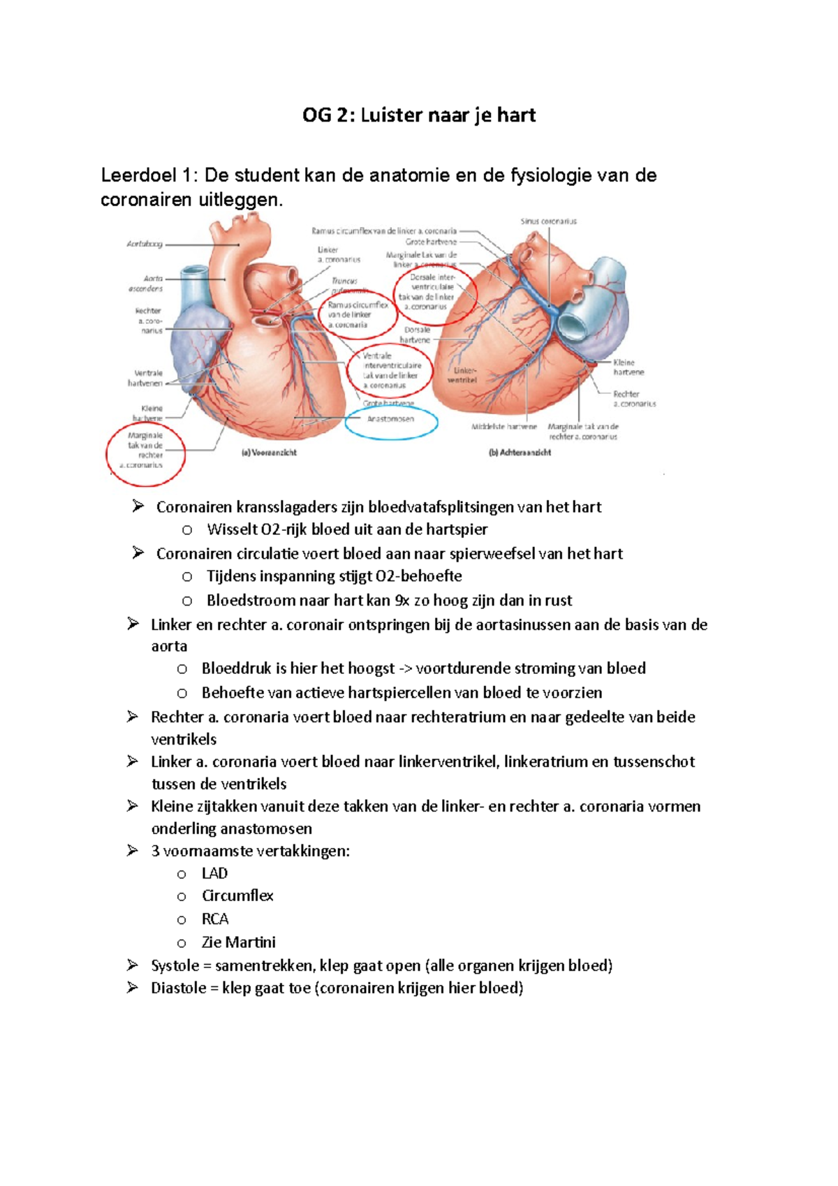 OG 2: Lesnotities over Coronairen en CABG ingrepen - Studocu