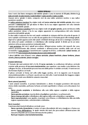 Riassunto Midollo allungato Neuroanatomia - MIDOLLO ALLUNGATO (O BULBO ...