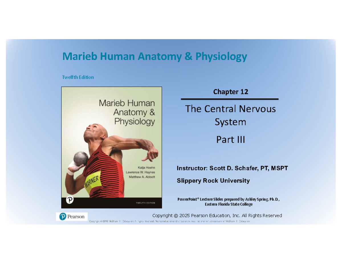 Marieb Human Anatomy & Physiology 12th Ed. Chapter 12 CNS Overview ...