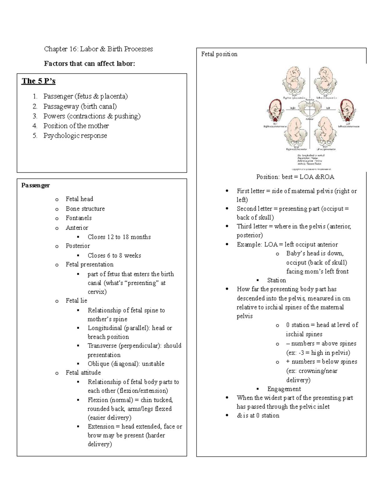 OB 101: Exam 1 Study Guide on Labor Processes and Fetal Position - Studocu