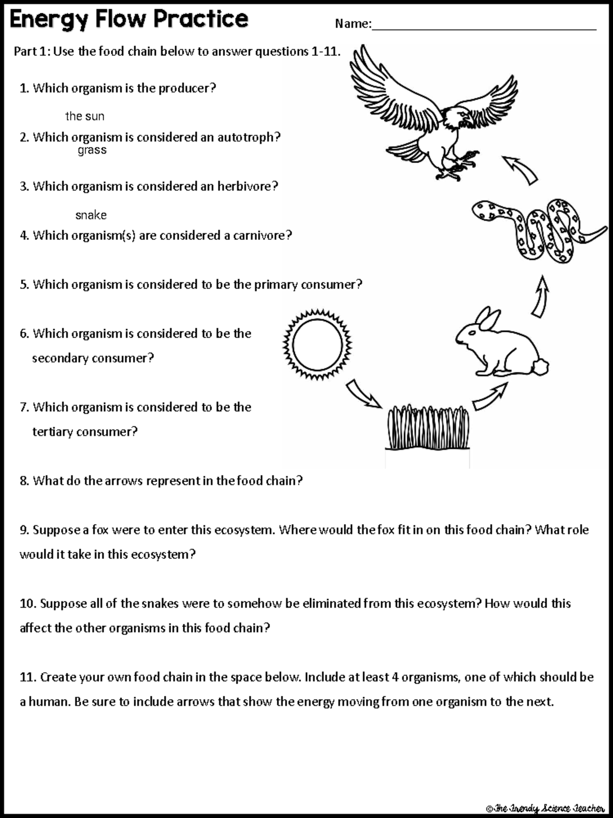 Energy Flow Practice Worksheet (Part 1 & 2) - Aiden Fuller - Studocu