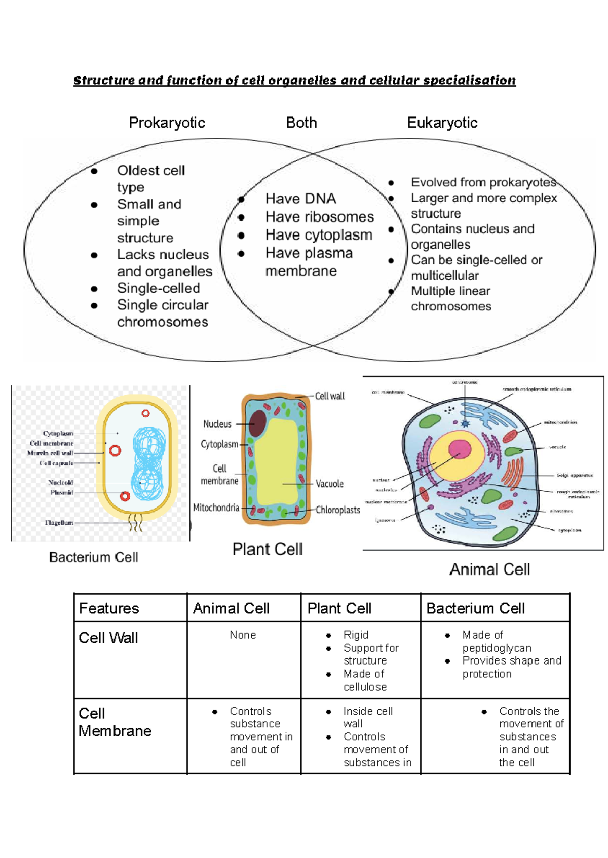 Cell Biology Overview: Structure, Function, and Specialization (BIO101) - Studocu
