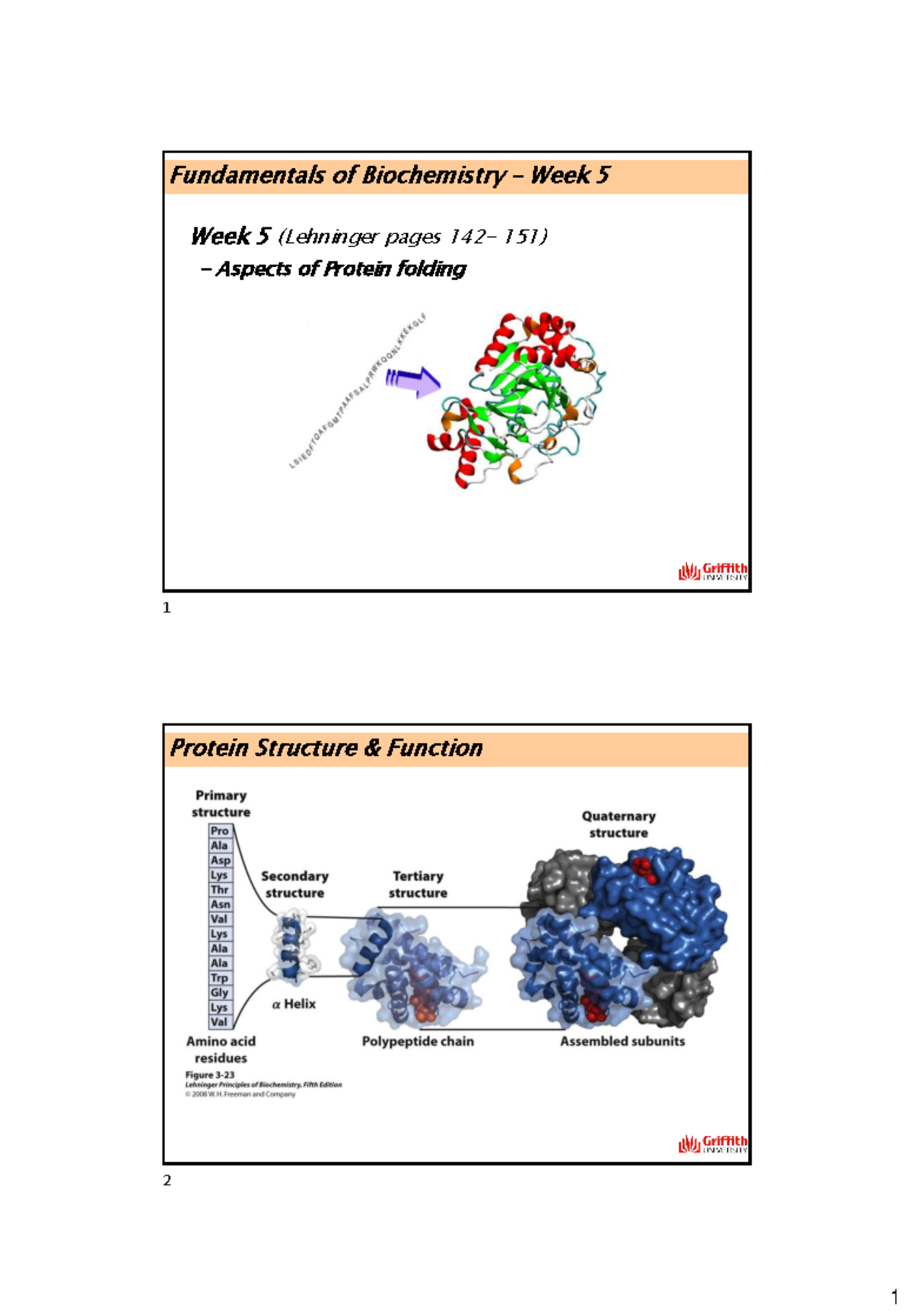 1014NSC Biochemistry - Protein Folding Concepts and Models - Week 5 ...
