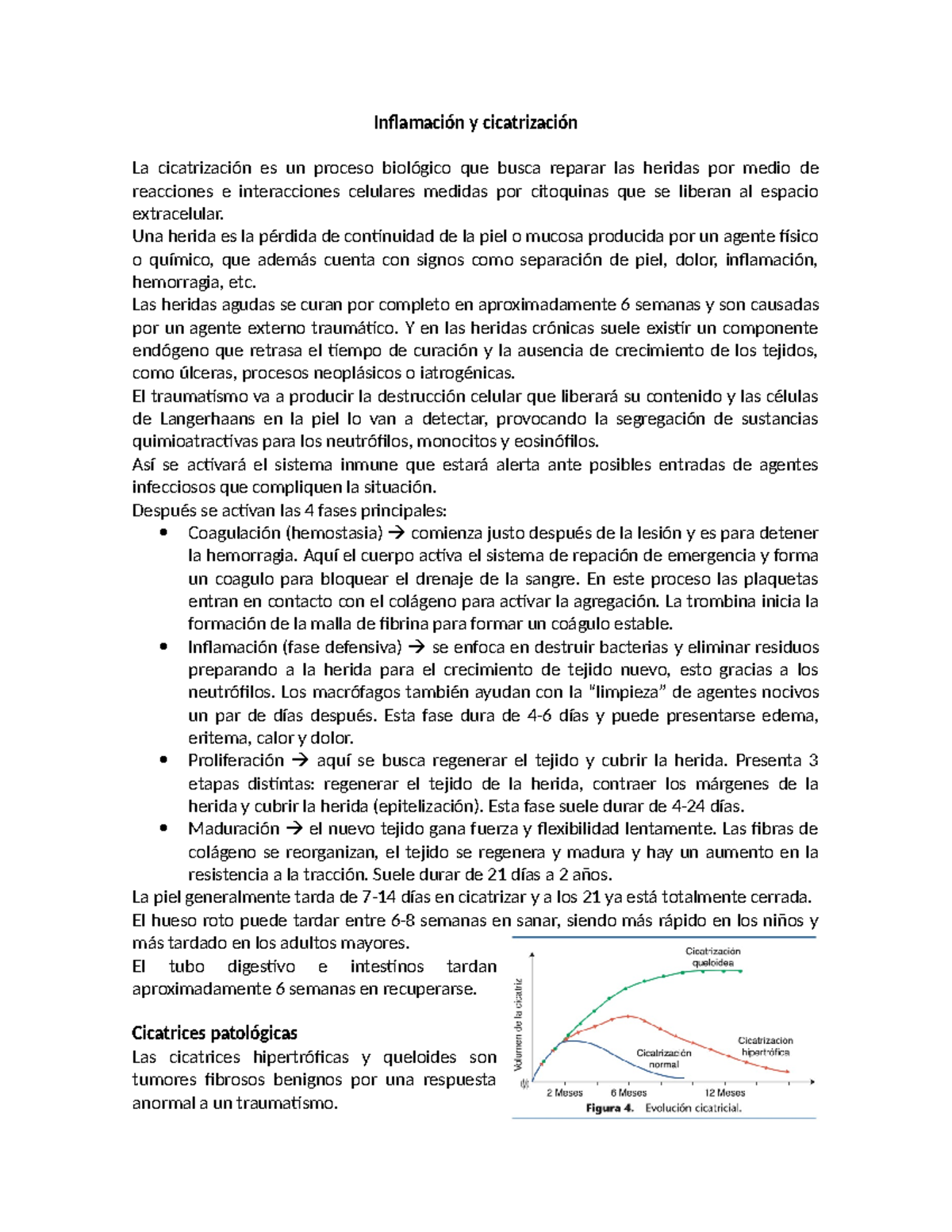 Inflamación y Cicatrización: Proceso Biológico y Etapas Clave - Studocu