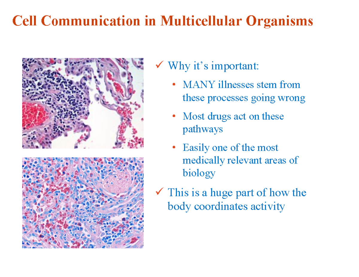 Final Exam Study Guide for PSY 201: Cell Communication Processes in ...