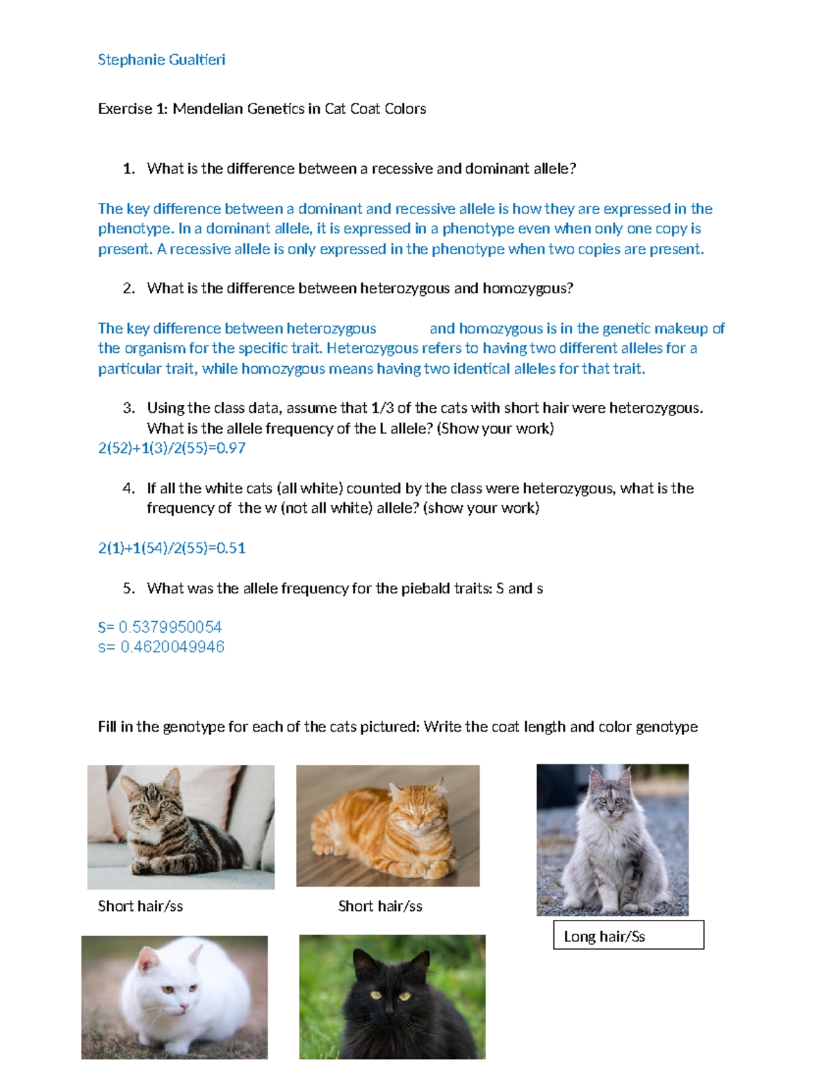 Cat Genetics (BIO 101) Assignment Report: Mendelian Inheritance ...
