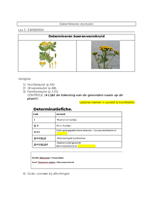 Monocotylen (eenzaadlobbigen) - Monocotylen (eenzaadlobbigen) Verschil ...