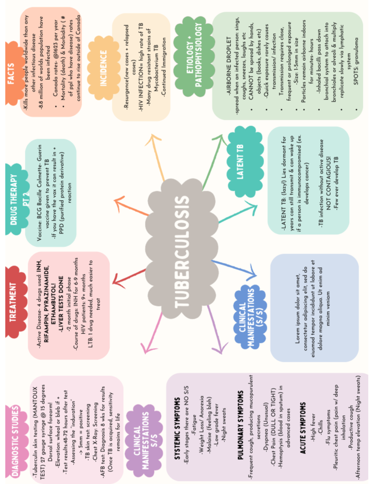 TB - TB concept map - DIAGNOSTIC STUDIES TREATMENT DRUG THERAPY FACTS ...