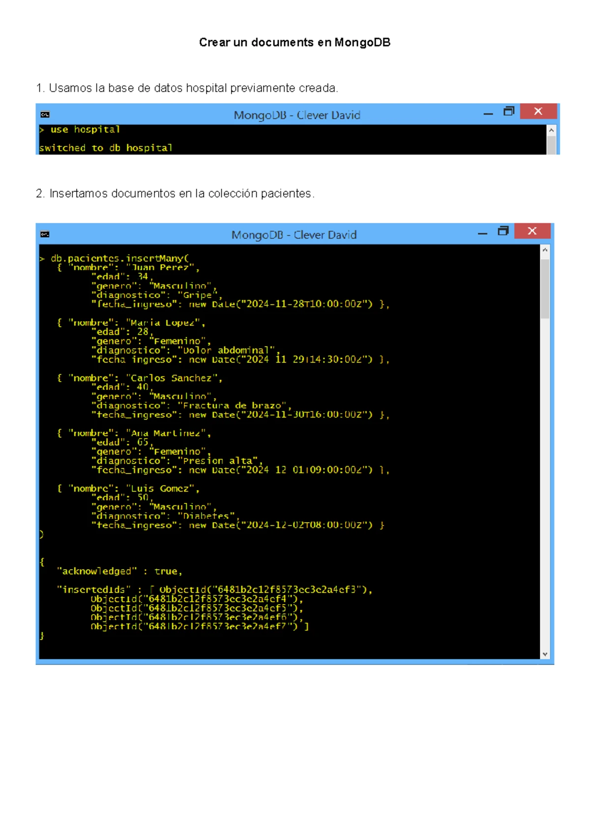 Caso de Estudio: Base de Datos para Organizaciones No Gubernamentales - Studocu