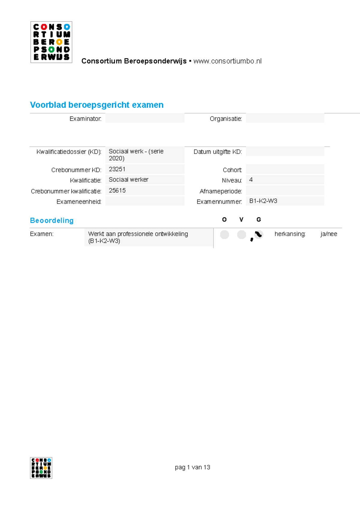 Examen Sociaal Werker 25615: Werkt aan Professionele Ontwikkeling (B1-K2-W3) - Studeersnel