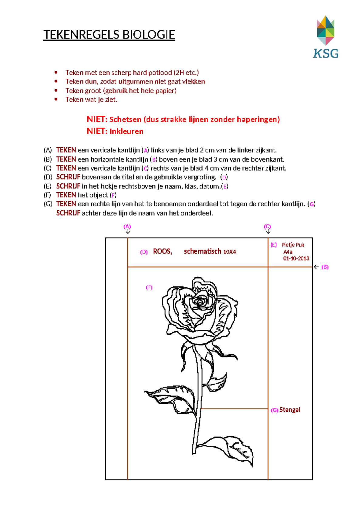 Tekenregels Biologie - Handboek voor Wetenschappelijk Tekenen - Studeersnel