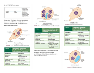 Enterobacteriaceae: MA. Characteristics, Identification, and Isolation ...