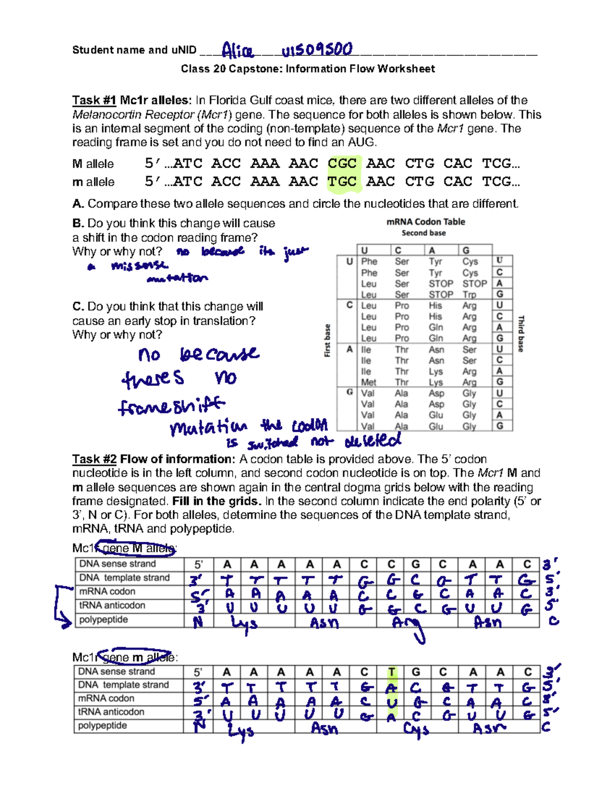 WS+20+Capstone+worksheet+S24 - Student name and uNID - Studocu