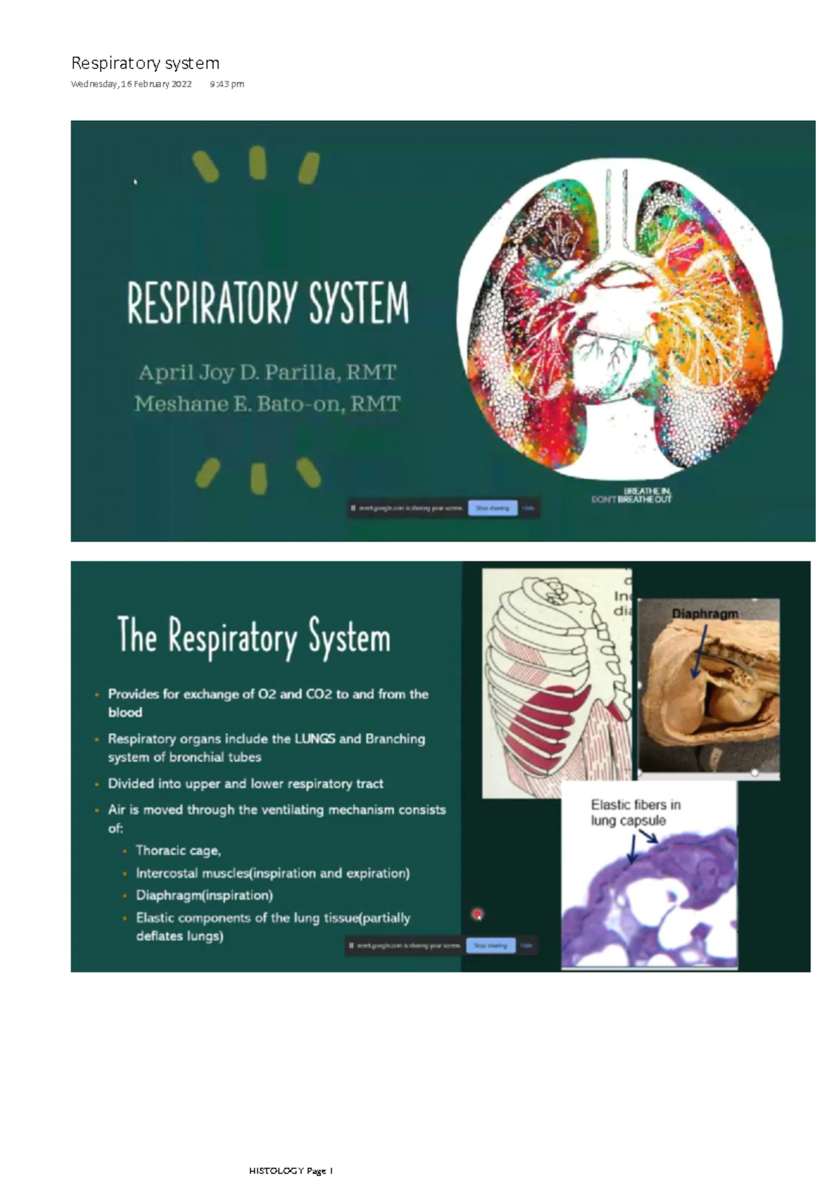 Respiratory System - Lecture Notes 3-4: Key Concepts & Functions - Studocu