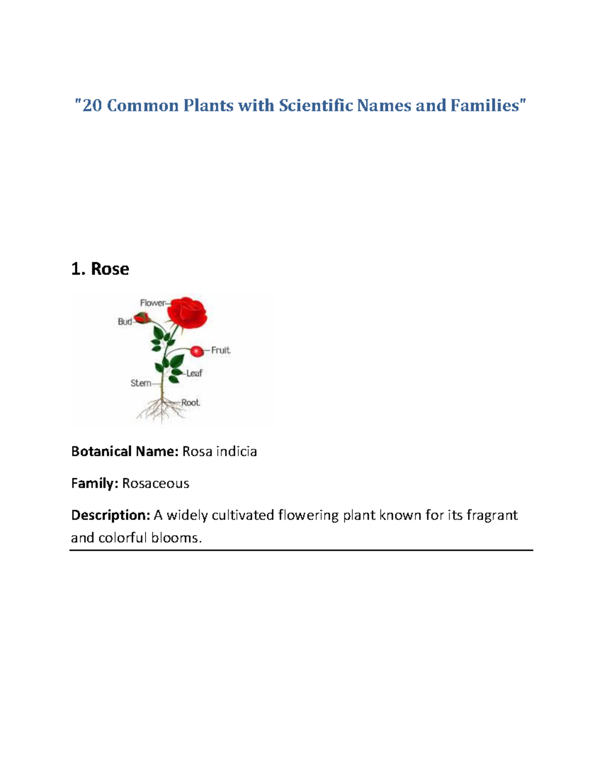 20 Common Plants with Scientific Names and Their Families - Studocu