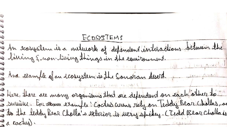 Ecosystems - HEWWO - ECOSYSTEMS An ecosystem is a ansteuork of ...