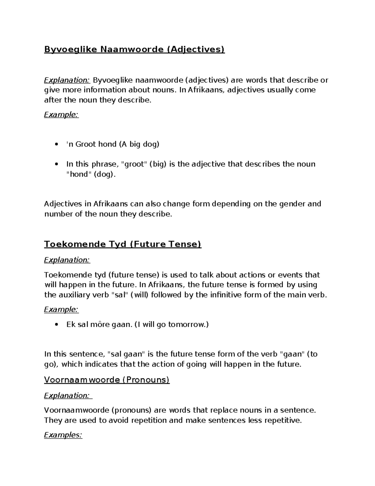 Afrikaans Gr6 Adjectives, Future Tense, Pronouns, & Conjunctions Guide ...