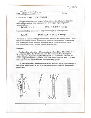 Biology Chapter 13: Meiosis and Sexual Life Cycles Overview - Hello ...