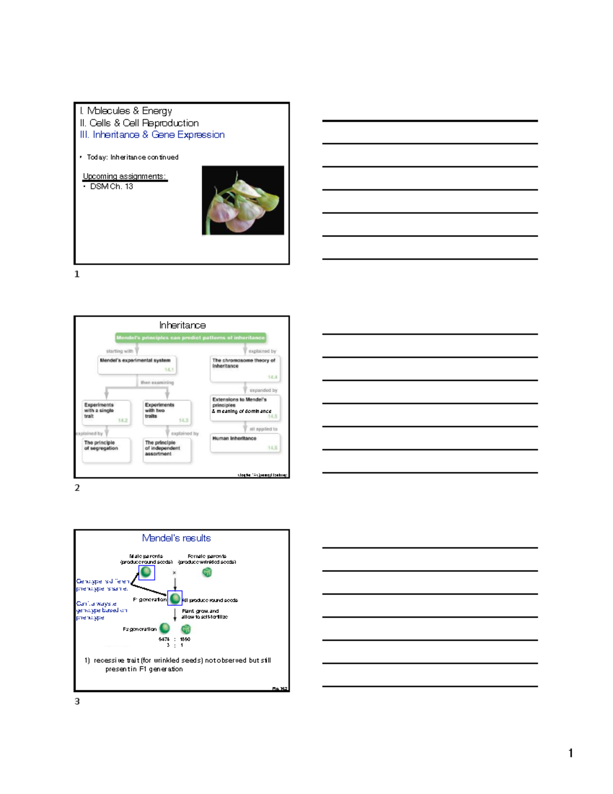 Biology 101: Lecture Notes on Inheritance and Mendelian Genetics - Studocu