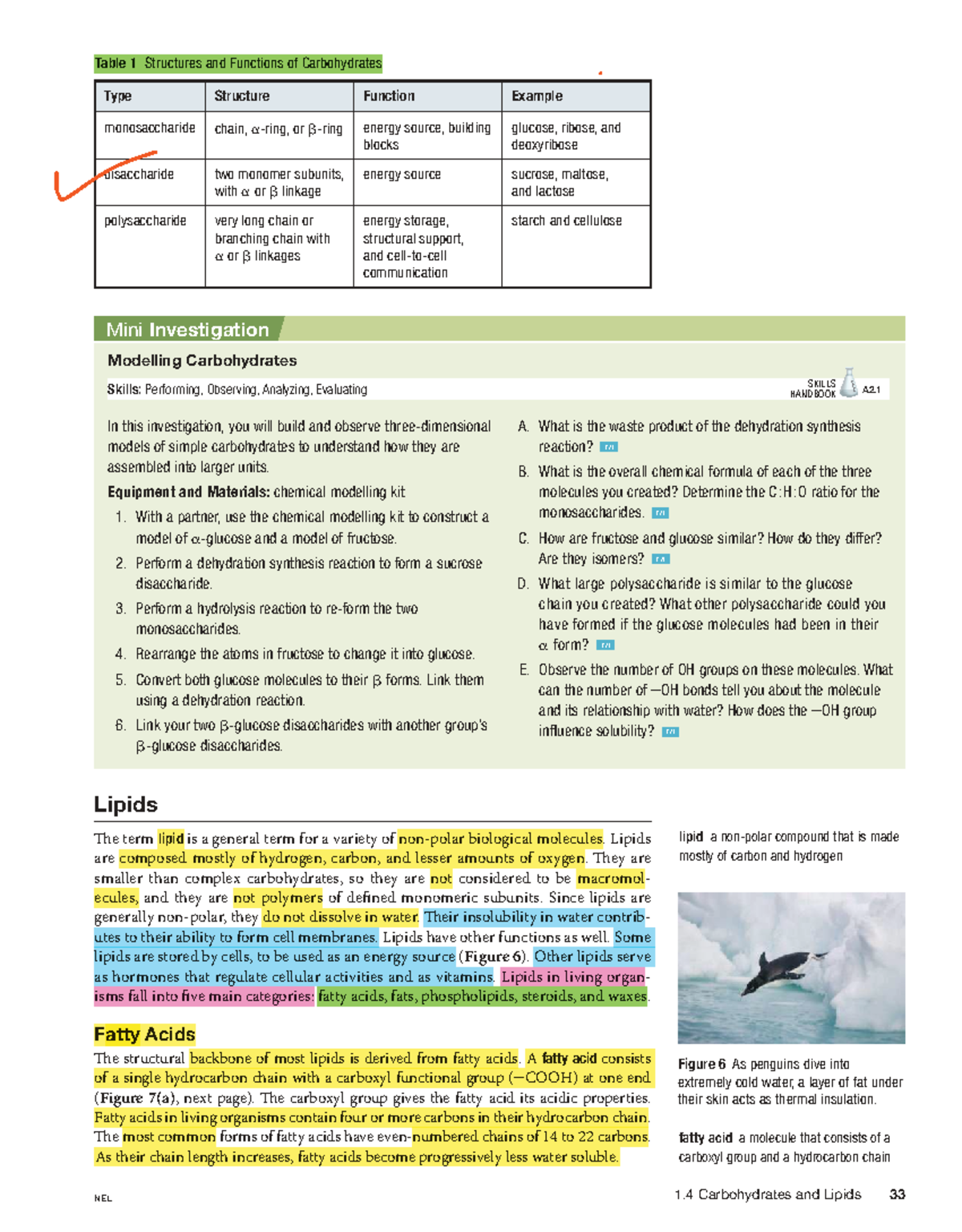 Lipids and Carbohydrates: Structures, Functions, and Investigations ...