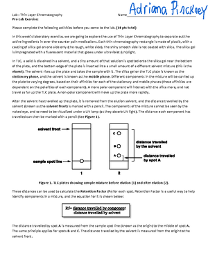 Lab-1-Units Measurements and Significant Figures - CHEM1151K – Lab 02 ...