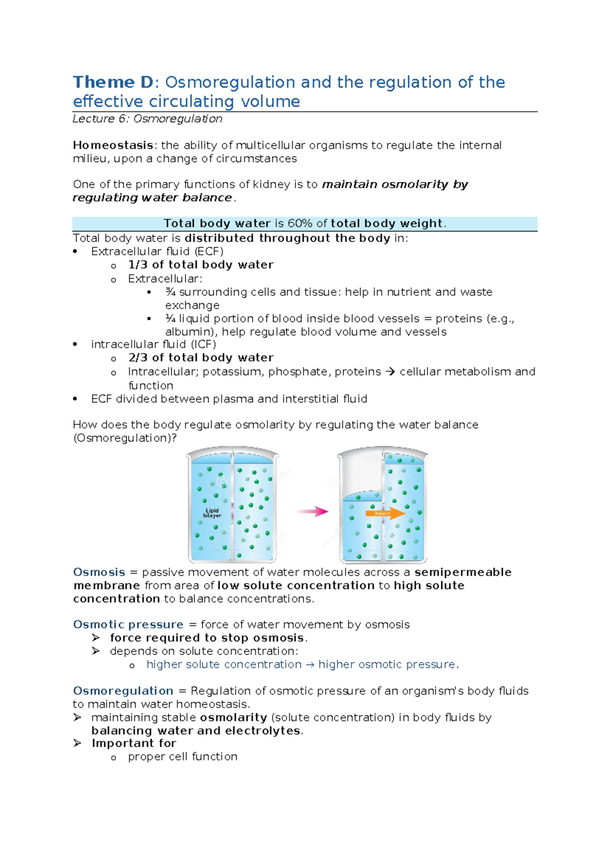 Lecture 6: Kidney Osmoregulation and Water Balance Mechanisms - Studeersnel