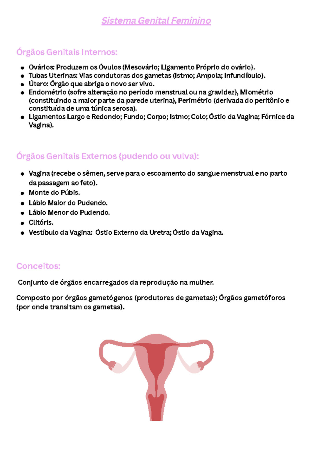Sistema Genital Feminino: Estrutura e Funções Reprodutivas - Studocu